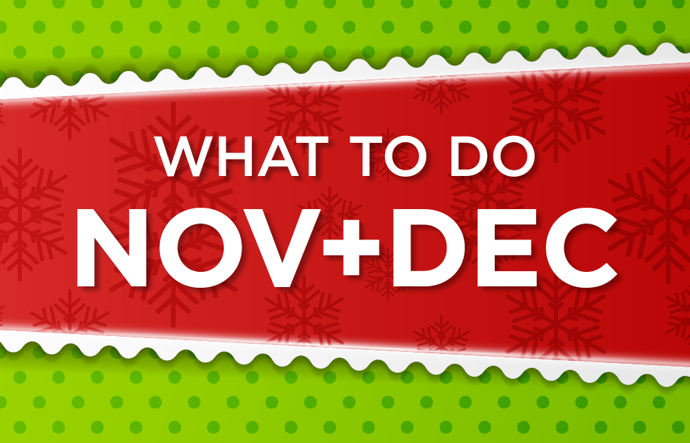 NOV + DEC Celebrations | Focus LGBT+ Magazine