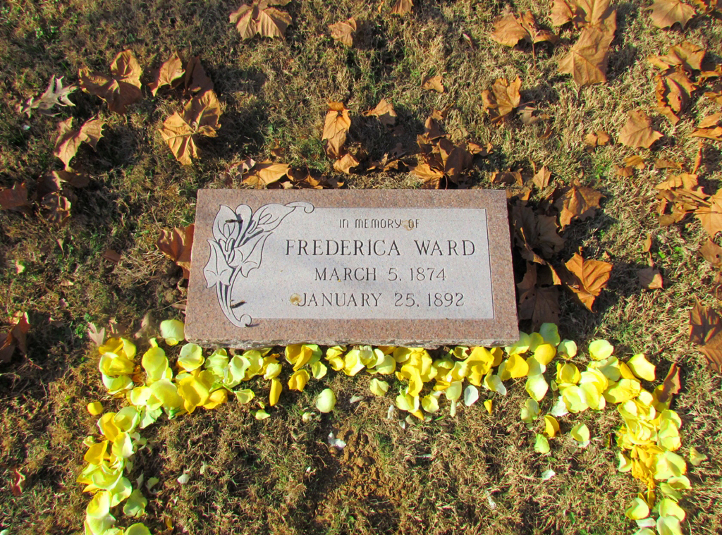 Alice & Freda: In 1892, Memphis girls' young love ends tragically ...