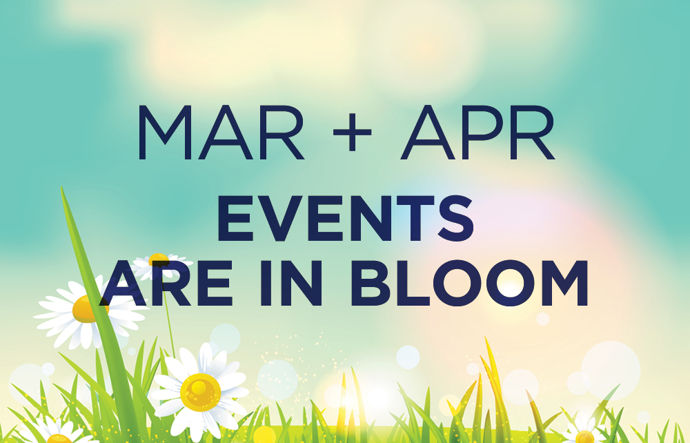 Blooming in Mar + Apr | Focus LGBT+ Magazine
