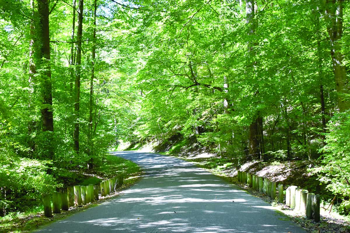 Original Memphis: Meeman-Shelby Forest State Park | Focus LGBT+ Magazine