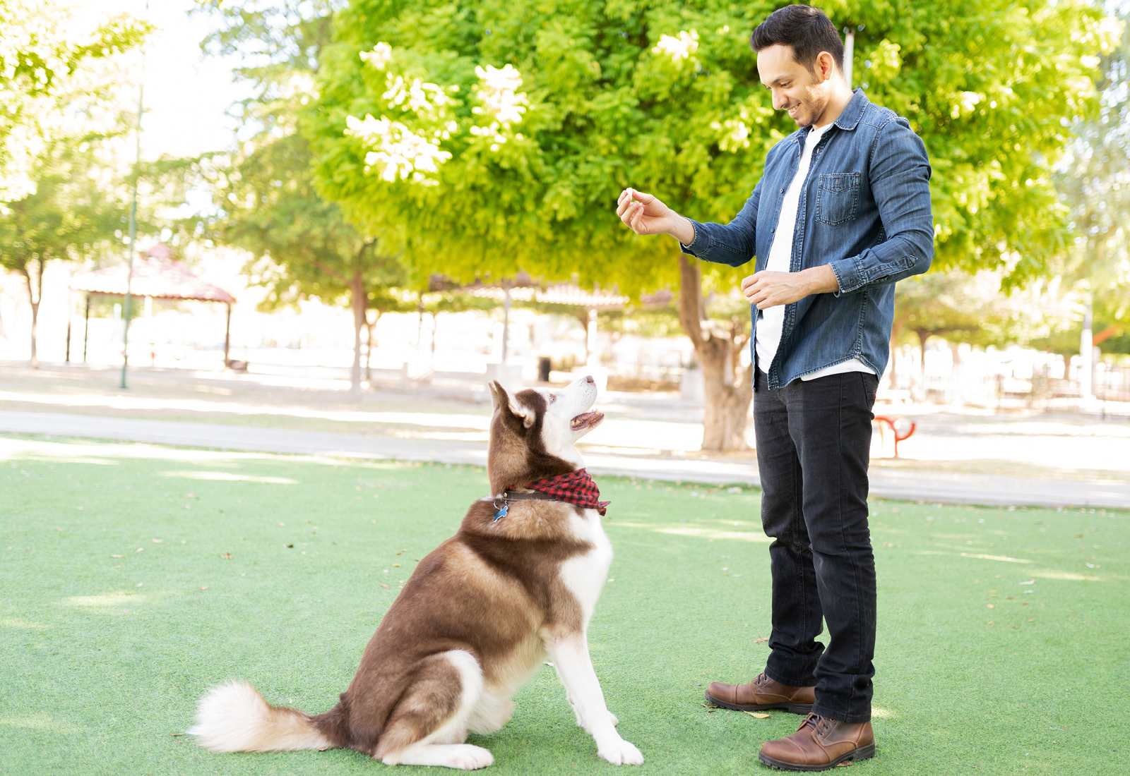 Keep the Fun in Dog Training 101 | Focus LGBT+ Magazine